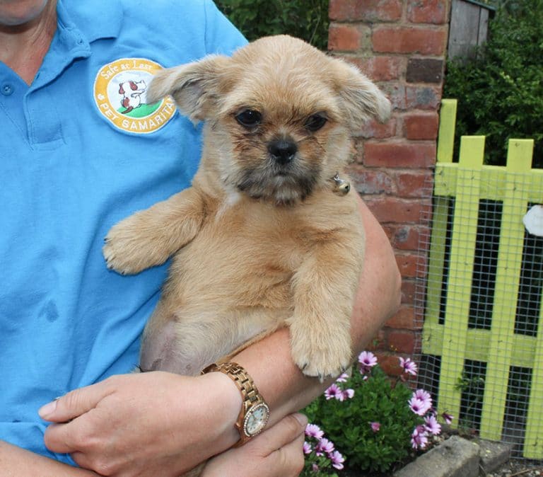 Thanks for your support - Pet Samaritans