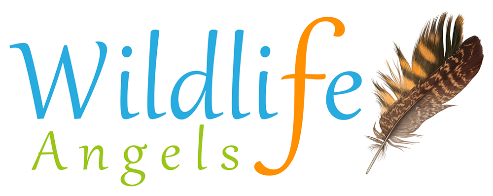 Logos and Sponsor Forms - Pet Samaritans