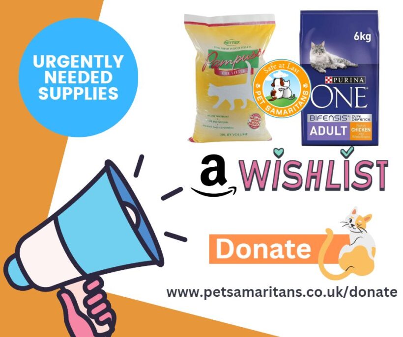 Animal Sanctuary & Wildlife Rescue with the Pet Samaritans