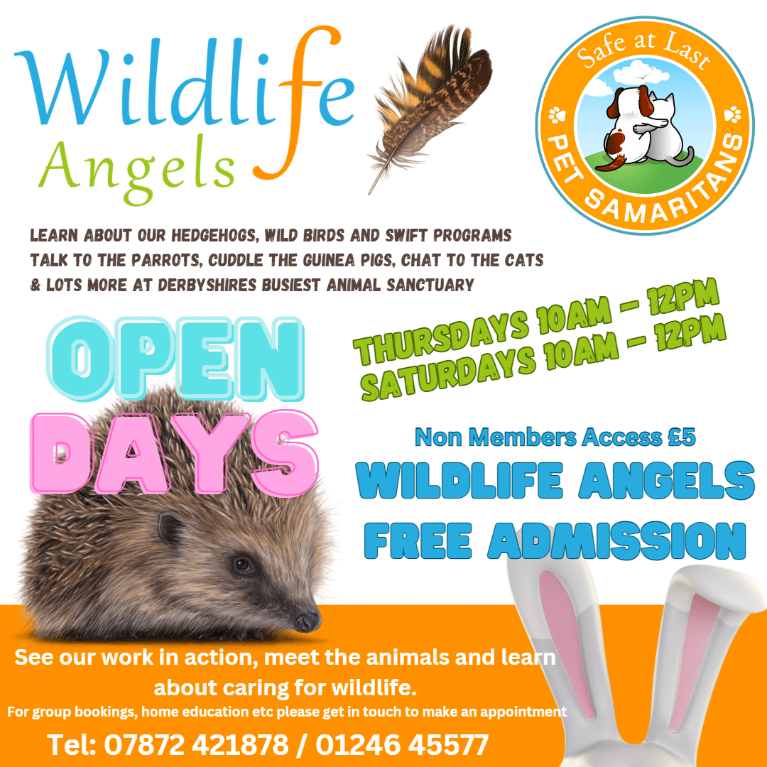 Animal Sanctuary & Wildlife Rescue with the Pet Samaritans