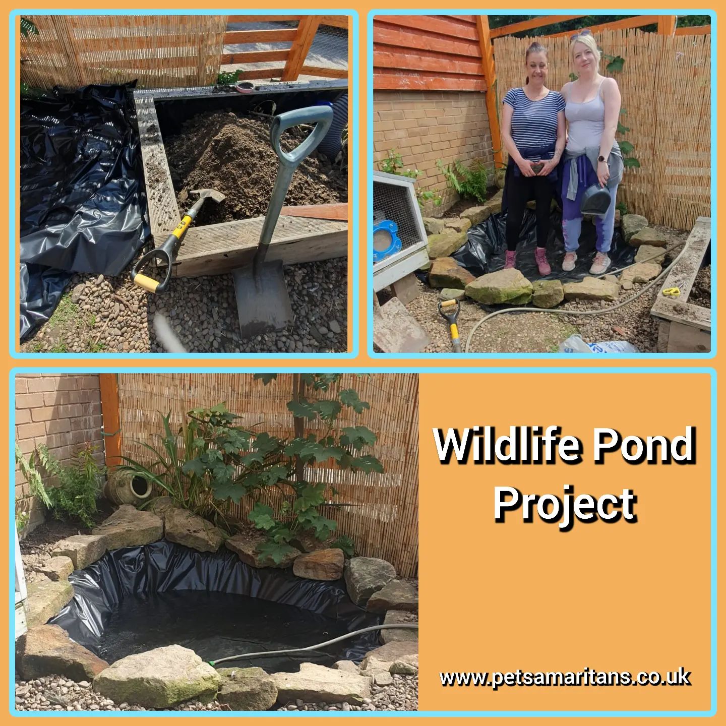 Animal Sanctuary Wildlife Rescue With The Pet Samaritans