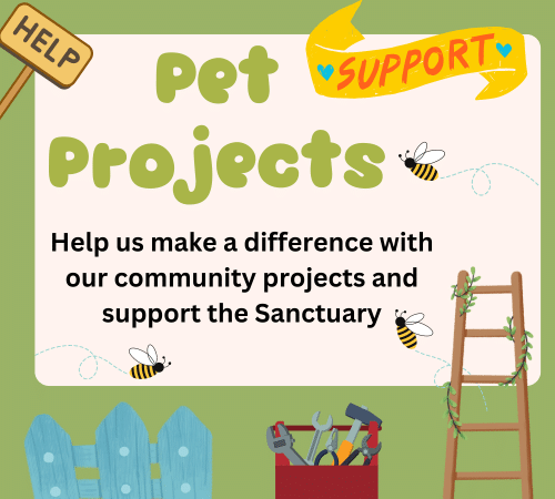 Animal Sanctuary & Wildlife Rescue with the Pet Samaritans