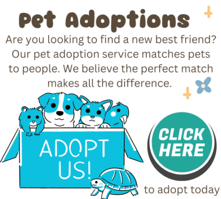 Animal Sanctuary & Wildlife Rescue with the Pet Samaritans