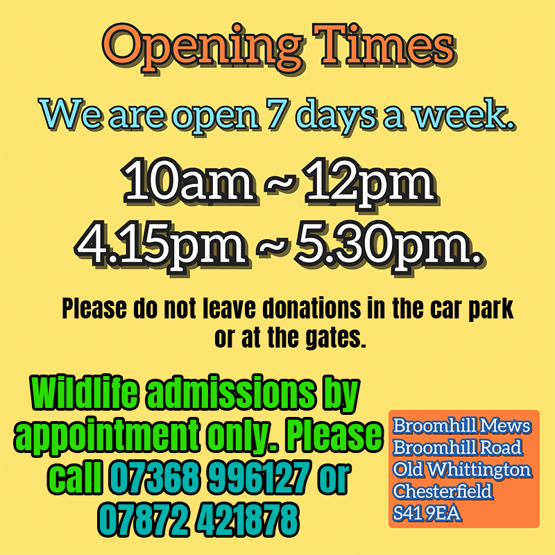 Animal Sanctuary & Wildlife Rescue with the Pet Samaritans