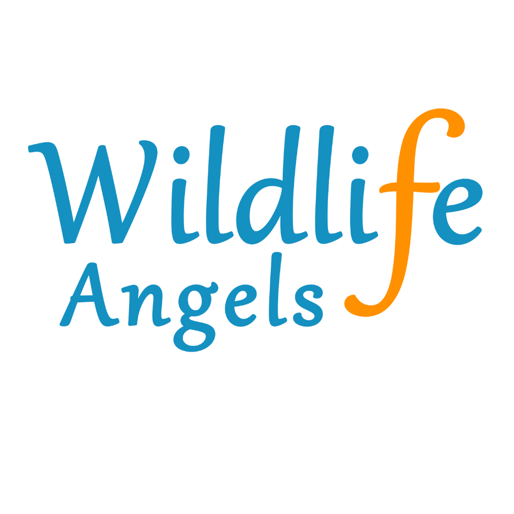 Fundraising for the Pet Samaritans - Pet Samaritans